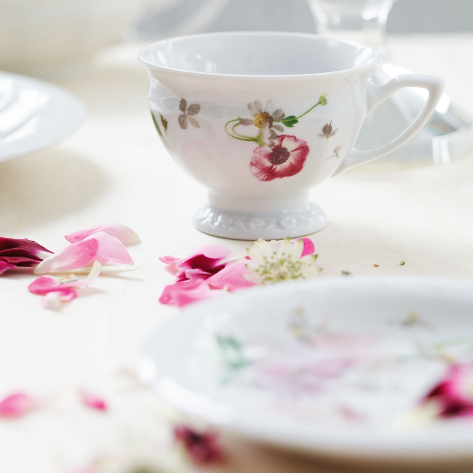 Maria Pink Rose 15 Piece Tea Set | Mérci Dehradun